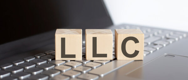 Domestic Limited Liability: Everything You Need to Know - Law 4 Small ...